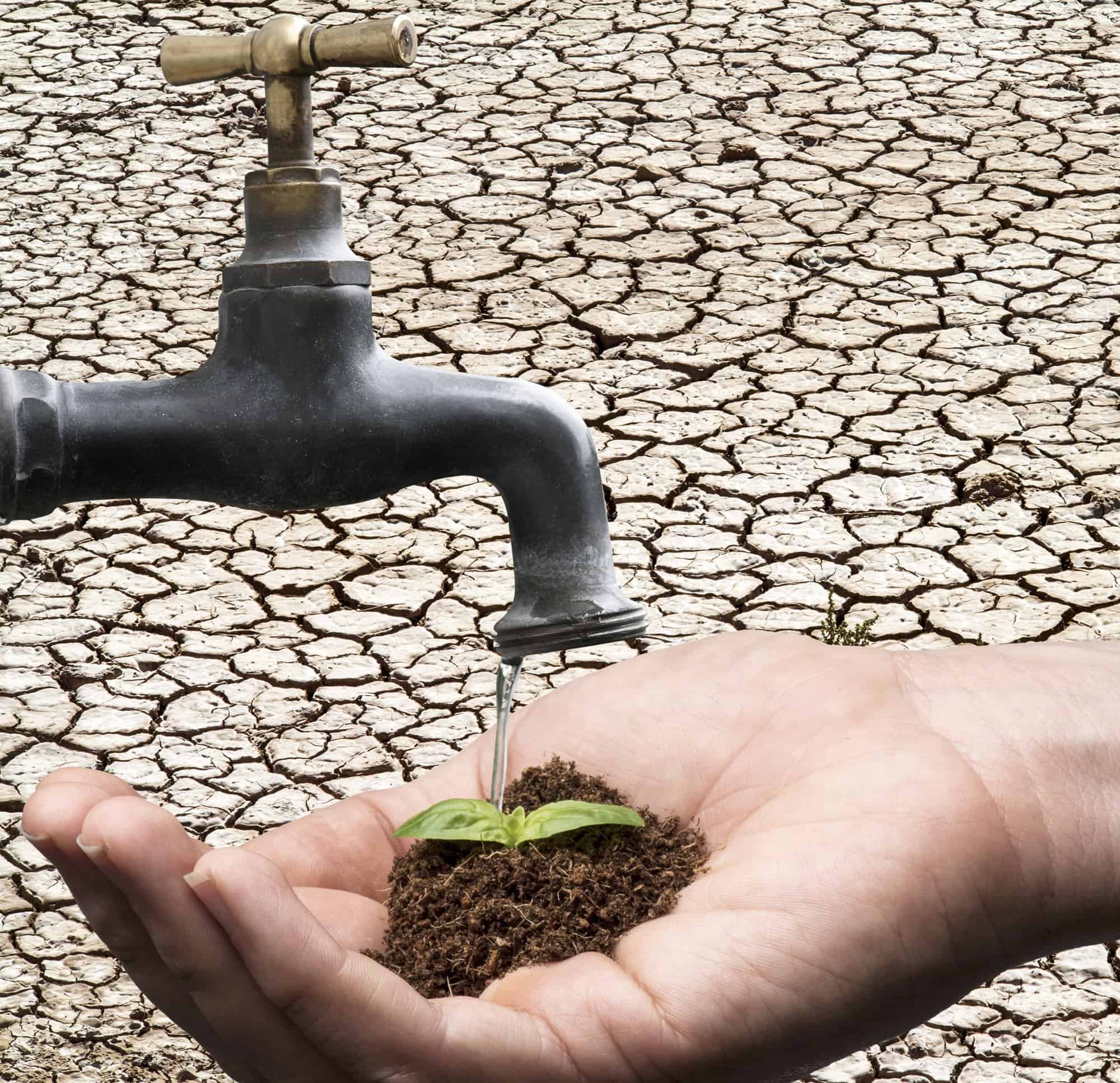 How Reusing Water Can Help to Solve the California Drought - DXP Pacific
