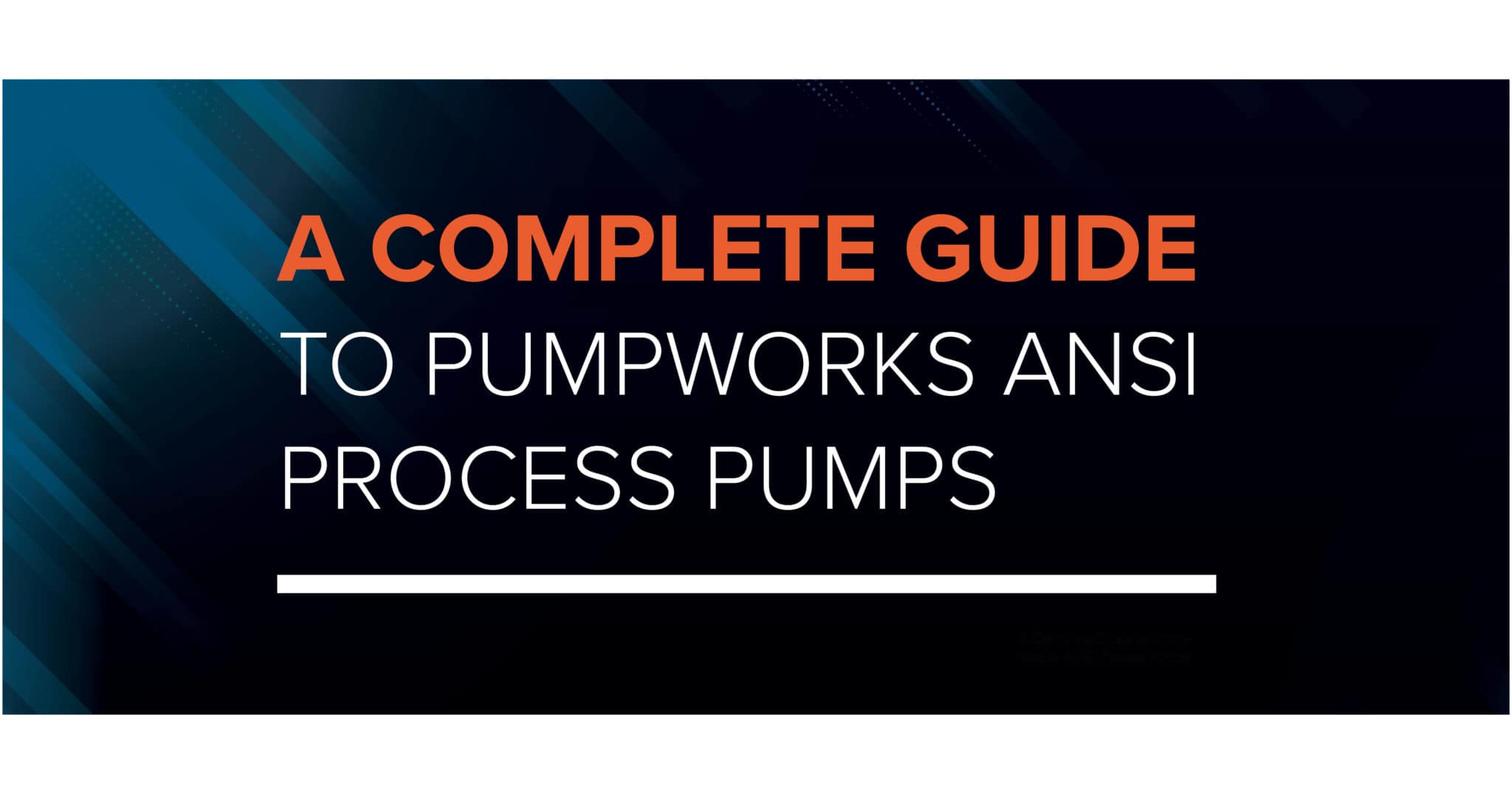 A Complete Guide to PumpWorks ANSI Process Pumps - DXP Pacific