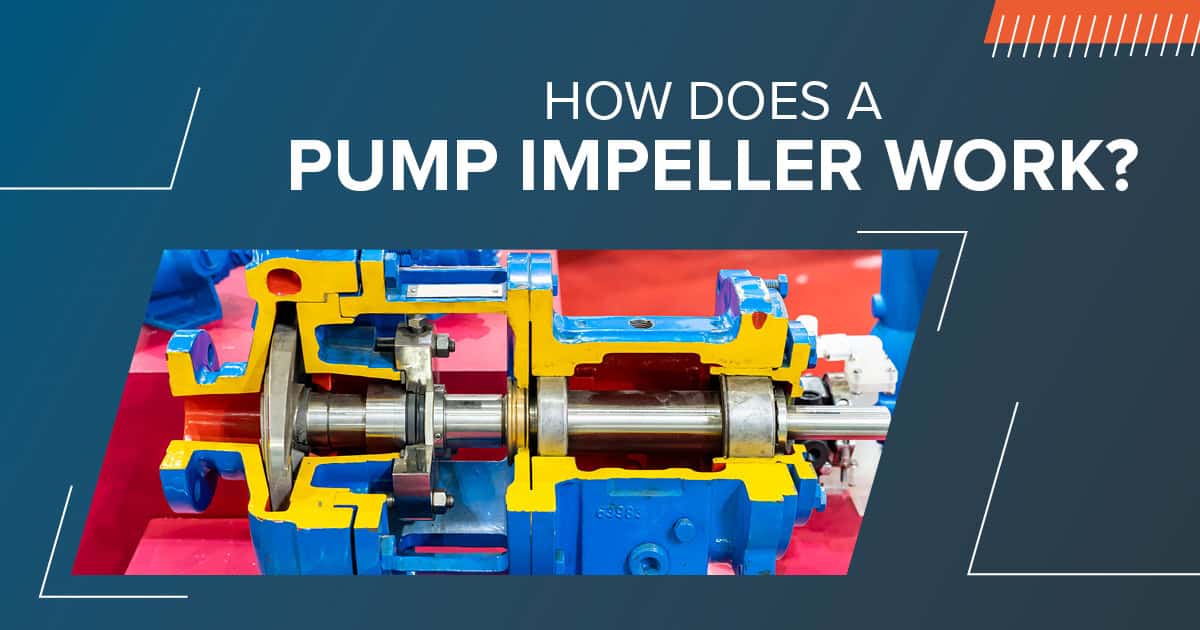 How Does a Pump Impeller Work? - DXP Pacific
